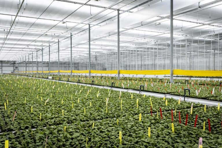 Stolze Installatietechniek